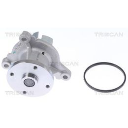 TRISCAN Wasserpumpe 860043022 f&uuml;r KIA
