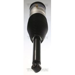 TRISCAN Luftfeder, Fahrwerk 872081201 f&uuml;r Tesla