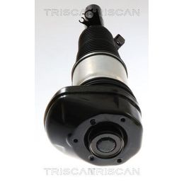 TRISCAN Luftfederbein 872011102 f&uuml;r BMW