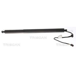 TRISCAN Gasfeder, Koffer-/Laderaum 871043301 f&uuml;r HYUNDAI