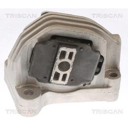 TRISCAN Lagerung, Motor 850527110 f&uuml;r Volvo