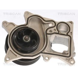 TRISCAN Wasserpumpe 860011060 f&uuml;r BMW
