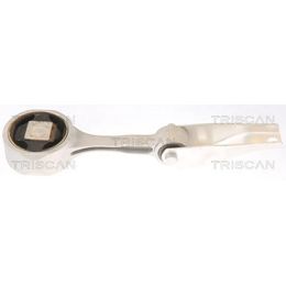 TRISCAN Lagerung, Motor 850529106 f&uuml;r Skoda VW