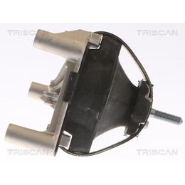 TRISCAN Lagerung, Motor 850565100 f&uuml;r SAAB