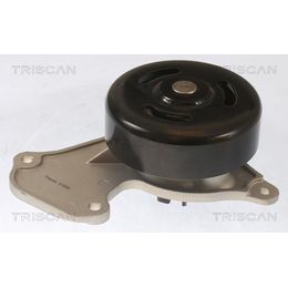 TRISCAN Wasserpumpe 860025095 f&uuml;r RENAULT