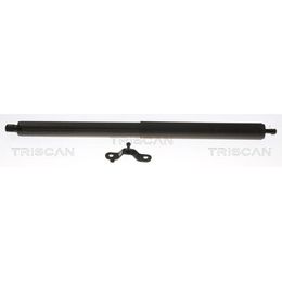 TRISCAN Gasfeder, Koffer-/Laderaum 871023307 f&uuml;r Mercedes