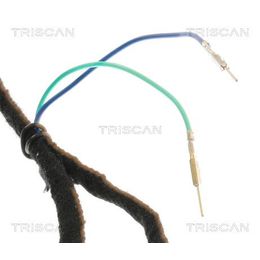 TRISCAN Gasfeder, Koffer-/Laderaum 871028302 f&uuml;r Peugeot