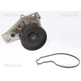 TRISCAN Wasserpumpe 860011061 f&uuml;r BMW