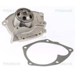 TRISCAN Zusatzwasserpumpe 860014022 f&uuml;r Vaughall Volvo MITSUBISHI NISSAN RENAULT