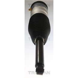 TRISCAN Luftfederbein 872081202 f&uuml;r Tesla