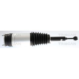TRISCAN Luftfederbein 872081203 f&uuml;r Tesla