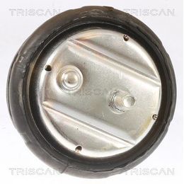 TRISCAN Lagerung, Motor 850511101 f&uuml;r BMW