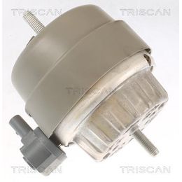 TRISCAN Lagerung, Motor 850529174 f&uuml;r Audi
