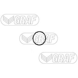 Graf Wasserpumpe pa1497 f&uuml;r Volvo