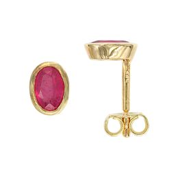 Paar Ohrstecker Jobo, gelb (gelbgold 585), Ohrringe, Damen, Gelbgold 585, oval 585 Gold mit Rubin