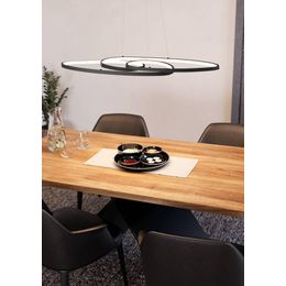 Eglo H&auml;ngeleuchte "GIANELLA Pendellampe, Alu, Stahl und Kunststoff, H&auml;ngelampe, Lampe", schwarz-wei&szlig; (schwarz wei&szlig;), 1, &Oslash; 0cm H: 120cm, 1 Stk., Leuchten, H&auml;ngeleuchte, L100 x B36 x H120 cm, schwarz, 38W inkl., H&auml;ngeleuchte
