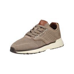 Sneaker Gant "Gant Sneaker Leder/Mesh", Herren, Gr. 43, beige (braun), Leder, Textil, Schuhe Sneaker