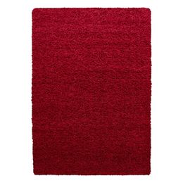 KADIMA DESIGN HOCHFLORTEPPICH RHEIN, einfarbig, aus Polypropylen, Rot, 200 x 290 cm
