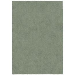 KADIMA DESIGN TEPPICH Waschbar GIPPING in Salbeigr&uuml;n, einfarbig, 200 x 290 cm