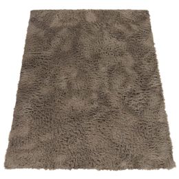 KADIMA DESIGN HOCHFLORTEPPICH, einfarbig, aus Polyester, Taupe, 160 x 220 cm