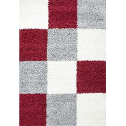 KADIMA DESIGN TEPPICH Hochflor RHEIN in Rot, kariert, 120 x 170 cm