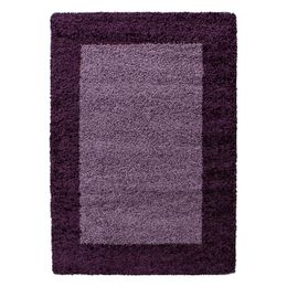 KADIMA DESIGN HOCHFLORTEPPICH RHEIN, mit Bord&uuml;re, Violett, 300 x 400 cm