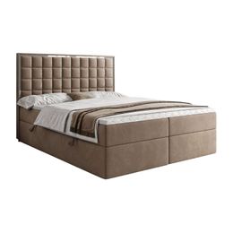 BOXSPRINGBETT ISADORA SILVER mit Bettkasten und Topper 140x200 cm Royal Velvet 176