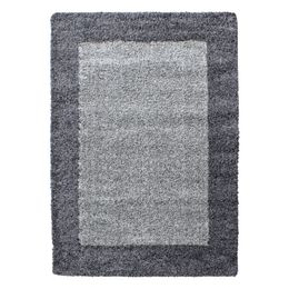 KADIMA DESIGN TEPPICH Hochflor RHEIN in Grau, mit Bord&uuml;re, 300 x 400 cm