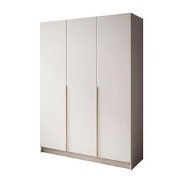 KLEIDERSCHRANK SAVAGE 3D KASCHMIR
