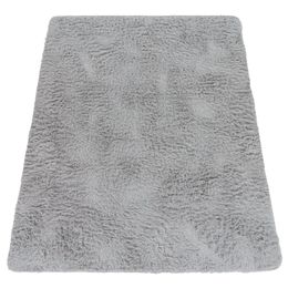 KADIMA DESIGN HOCHFLORTEPPICH, einfarbig, aus Polyester, Hellgrau, 160 x 220 cm