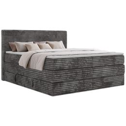 BOXSPRINGBETT TILION KING 160/200 - Grau Cord - Topper Visco - H3