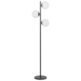 Beliani STEHLAMPE Schwarz 153 cm Wadi