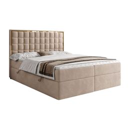 BOXSPRINGBETT ISADORA GOLD mit Bettkasten und Topper 180x200 cm Royal Velvet 170