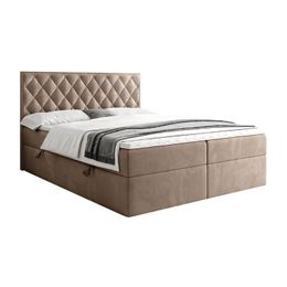 BOXSPRINGBETT INEZ mit Bettkasten mit Topper 180x200 cm Royal Velvet 176