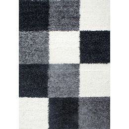 KADIMA DESIGN TEPPICH Hochflor RHEIN in Schwarz, kariert, 120 x 170 cm
