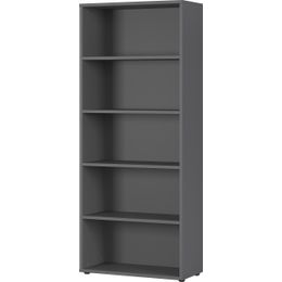 KADIMA DESIGN AKTENREGAL Universal FRANKFURT gro&szlig; 80x197cm, 5 Ordnerh&ouml;hen, Graphit