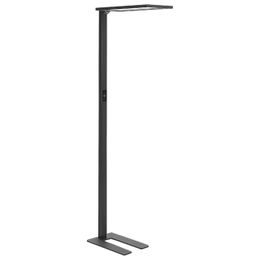 Beliani STEHLAMPE Orion 30/61/196 cm