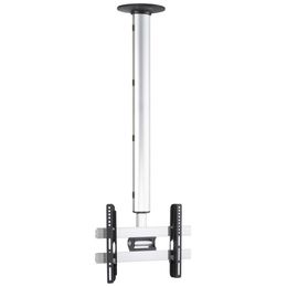 TV- Halterung CM Silber