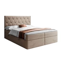BOXSPRINGBETT IZOLDA mit Bettkasten und Topper 140x200 cm Royal Velvet 176