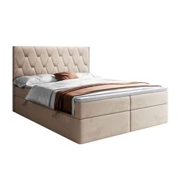 BOXSPRINGBETT IZOLDA mit Bettkasten und Topper 140x200 cm Royal Velvet 170