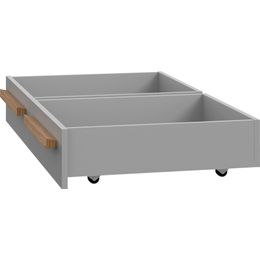 Bettschubkasten FORTE "Surfino", grau (grau, catania eiche), B:101,8cm H:15cm T:53cm, Holzwerkstoff, Schubladen, Bettschubkasten