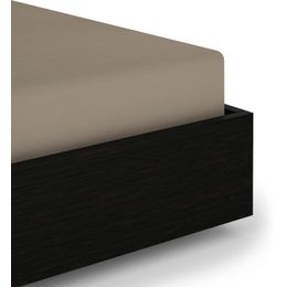 Spannbettlaken HECKETT & LANE "Elementi", beige (taupe, grau), B:160cm L:200cm, Mako-Satin, Obermaterial: 100% Baumwolle, Bettlaken, Spannbettlaken, Laken aus 100% Baumwolle, hochwertiges Mako-Satin, Betttuch ab 90x200