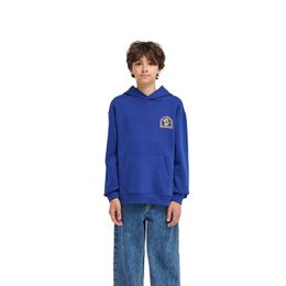 Hoodie Element "Timber Drips", Jungen, Gr. 14(155-164cm), bellweather blau, Obermaterial: 55% Baumwolle, 25% Baumwolle, 20% Polyester., Sweatshirts Hoodie