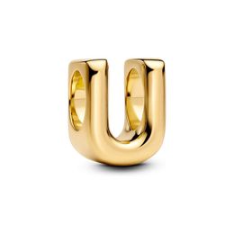 Pandora Charm Moments 763967C00