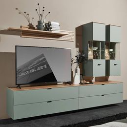 Pharao24.de Schrankwand Fernseher Schrankwand in Graugr&uuml;n 280 cm breit (f&uuml;nfteilig)