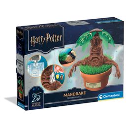 Experimentierkasten Clementoni "Harry Potter - Alraune", braun, Experimentierk&auml;sten, Kinder, Made in Europe