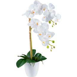 Kunstorchidee Creativ green "Orchidee Phalaenopsis", wei&szlig;, H:56cm, Kunststoff, Kunstpflanzen, mit real-touch-Bl&uuml;ten