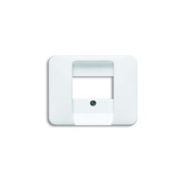 BUSCH-JAEGER Zentralscheibe stws gl f.UAE/TAE/LS 1766-24G (2CKA001753A7743)