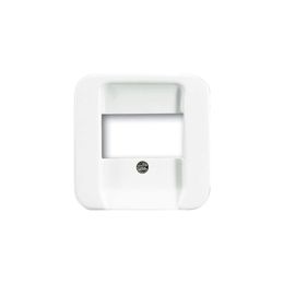 BUSCH-JAEGER Zentralscheibe aws f.TAE-Einsatz 2539-214 (2CKA001724A0913)