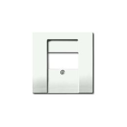 BUSCH-JAEGER Zentralscheibe stws mt f.UAE/TAE/LS 1766-884 (2CKA001710A3926)